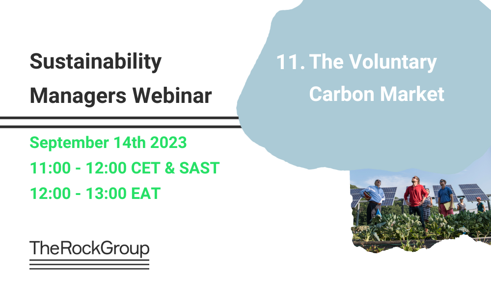 The Voluntary Carbon Market